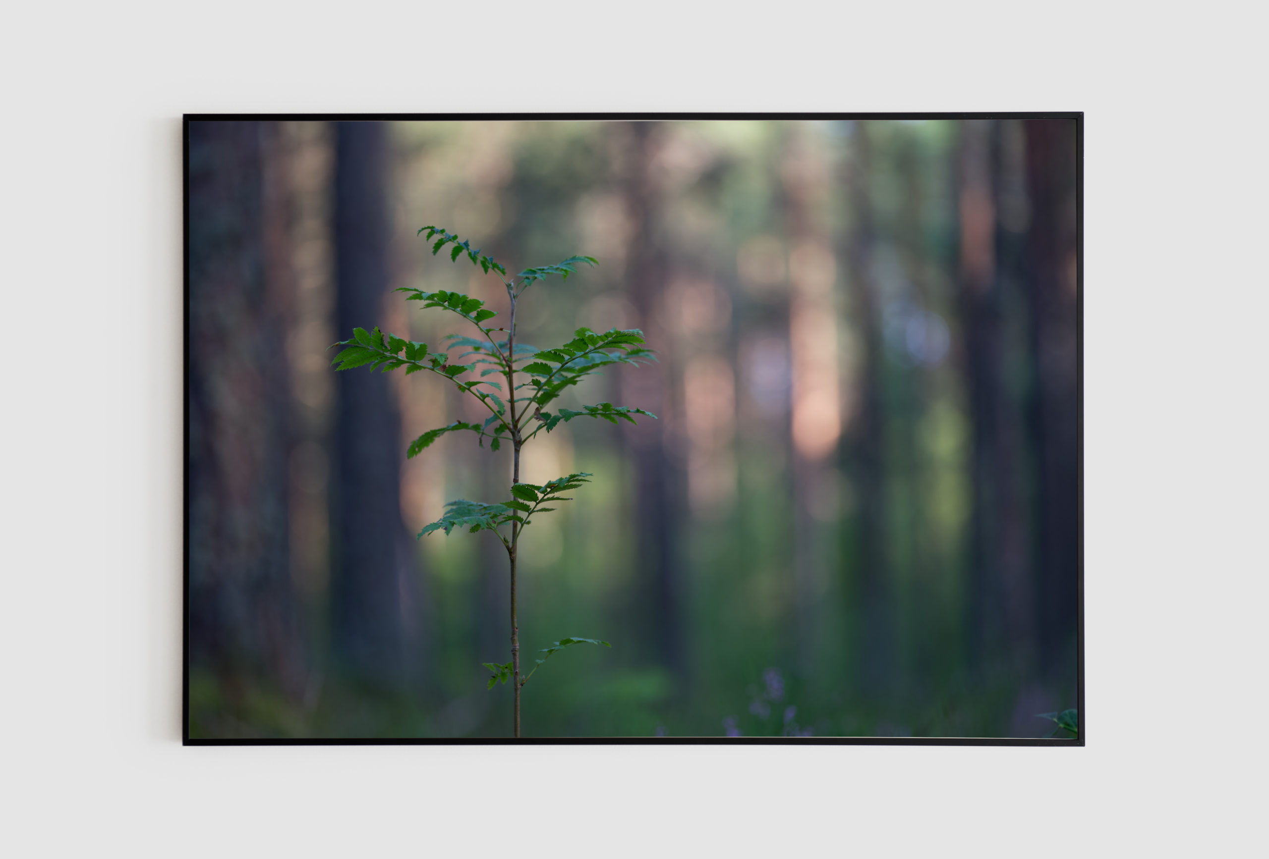 Interview Jérôme Sueur - Martin Bertrand